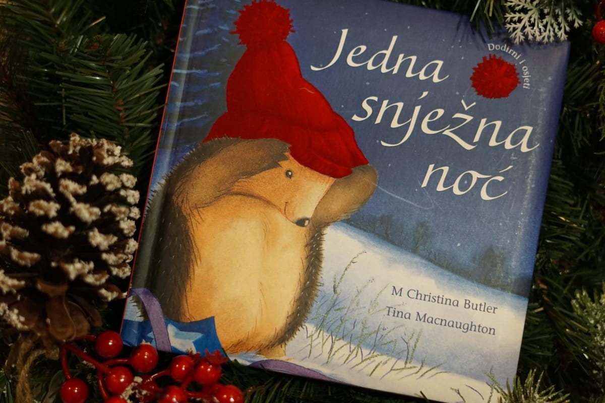 M Christina Butler: Jedna snježna noć